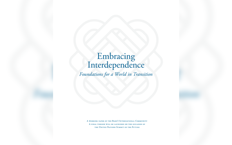 BIC releases working paper: ‘Embracing Interdependence: Foundations for ...